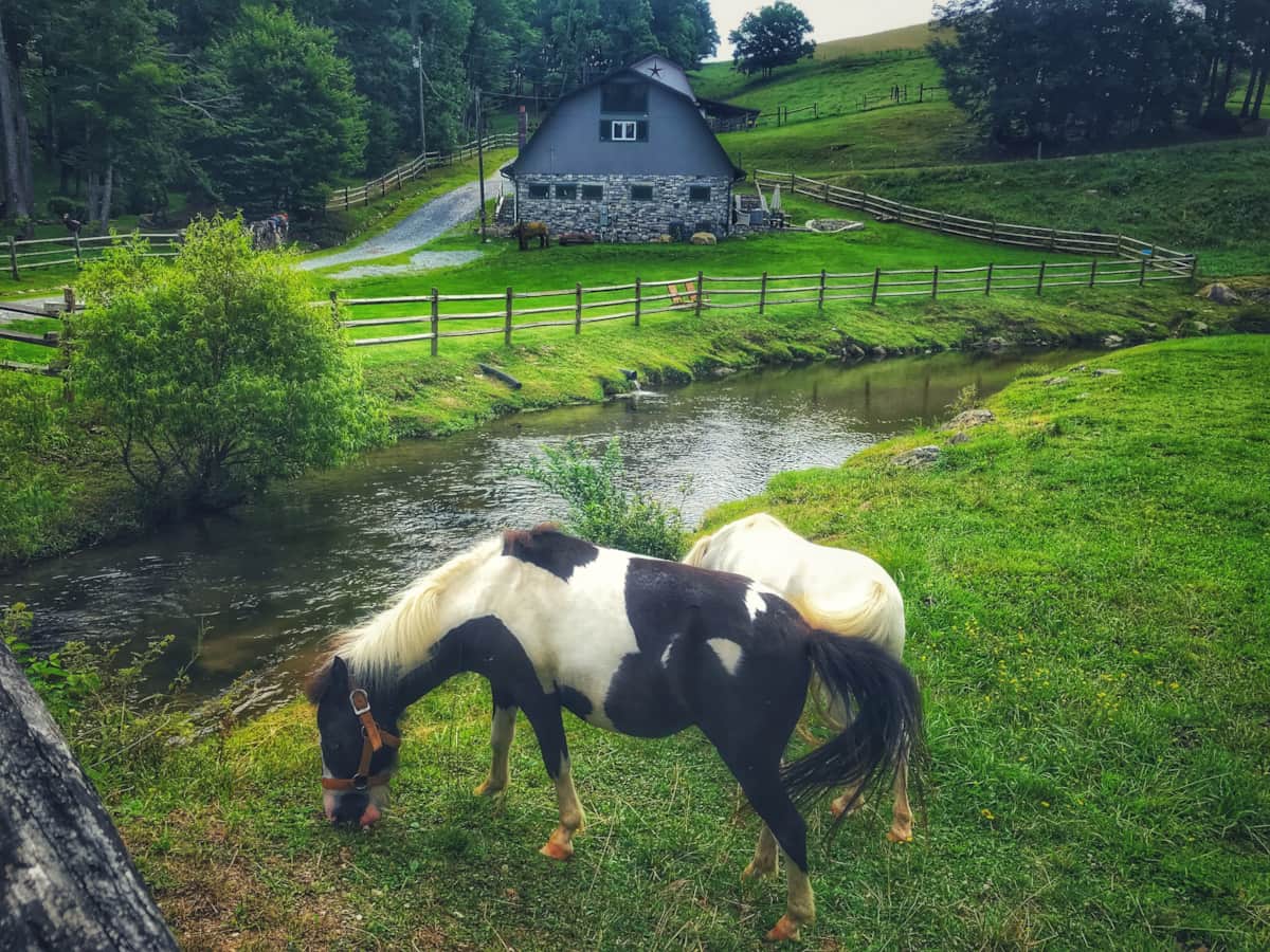 Entire Barn: Farm Stay w/ Petting Zoo, Tube Slide & Ziplines - Cabin in ...