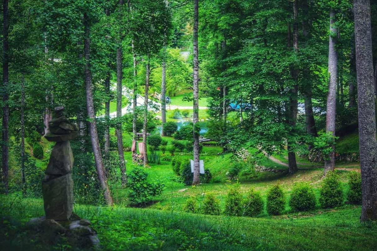 Mountain Magic Resort