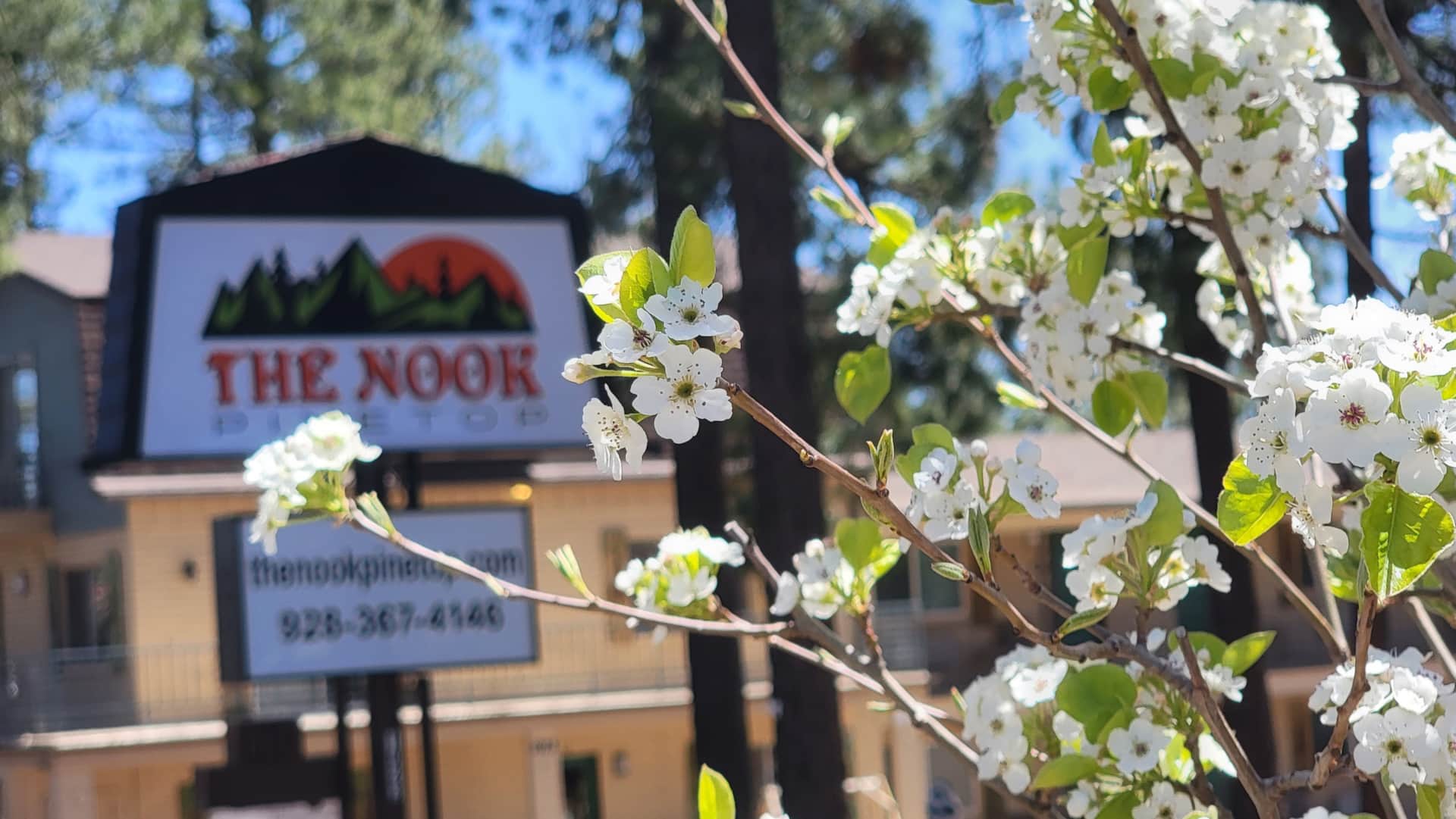 Home [www.thenookpinetop.com]