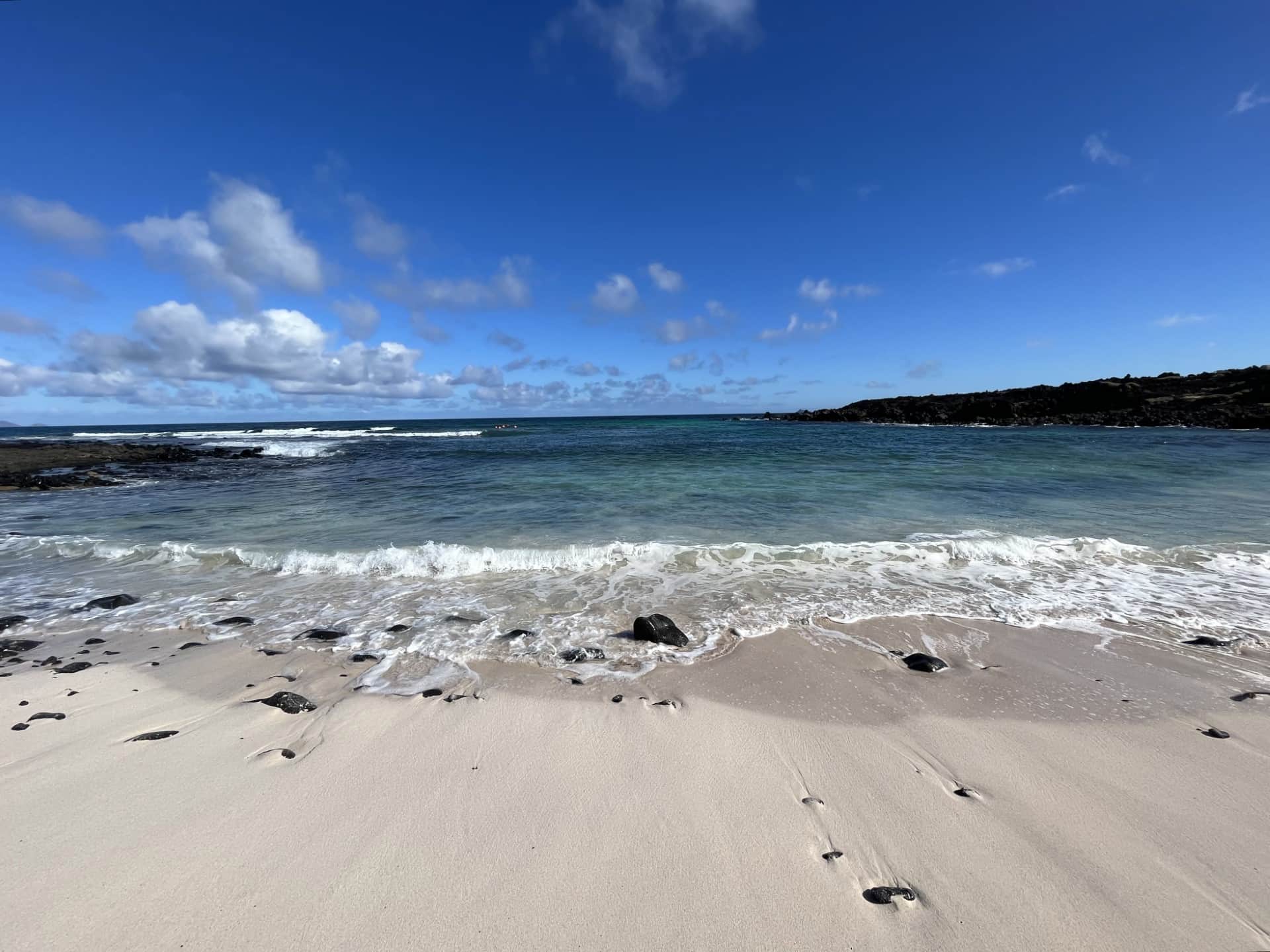 welcome to Lucy homes