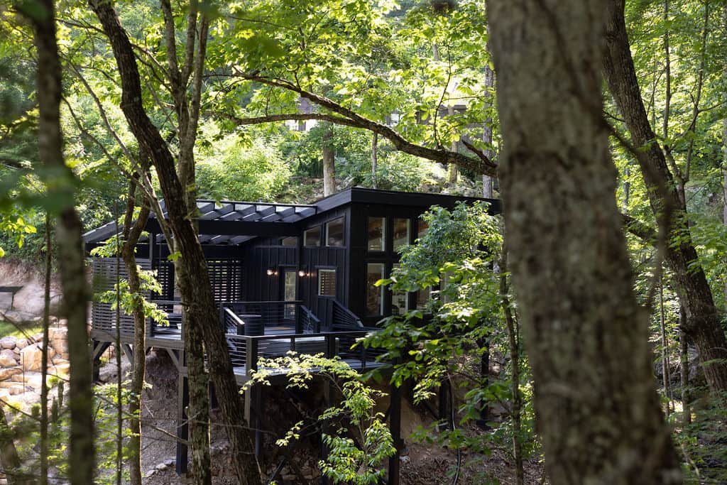 Black Fern Treehouse