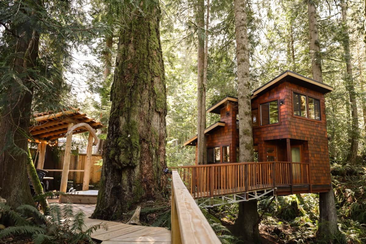 Home [eastsooketreehouse.com]