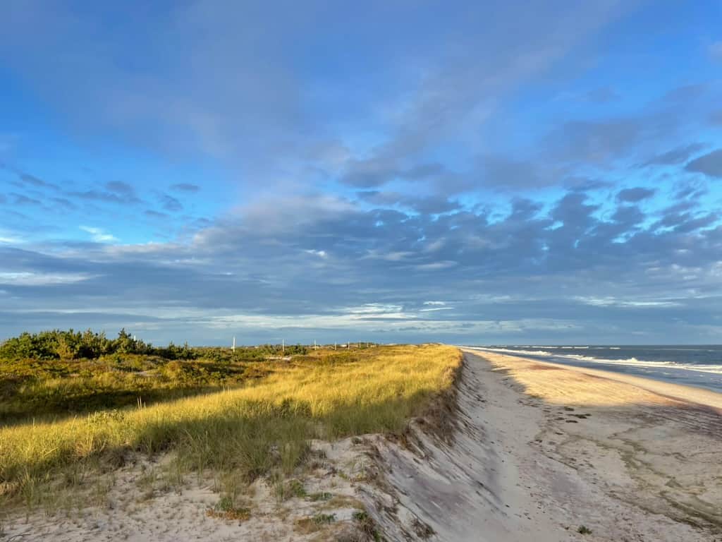 Davis Park Beach Vacations