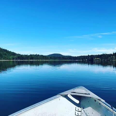 Home [rochelakeresort.lodgify.com]