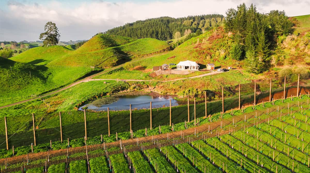 Glamping Waitomo | Luxury Accommodation | Orchard Valley New Zealand