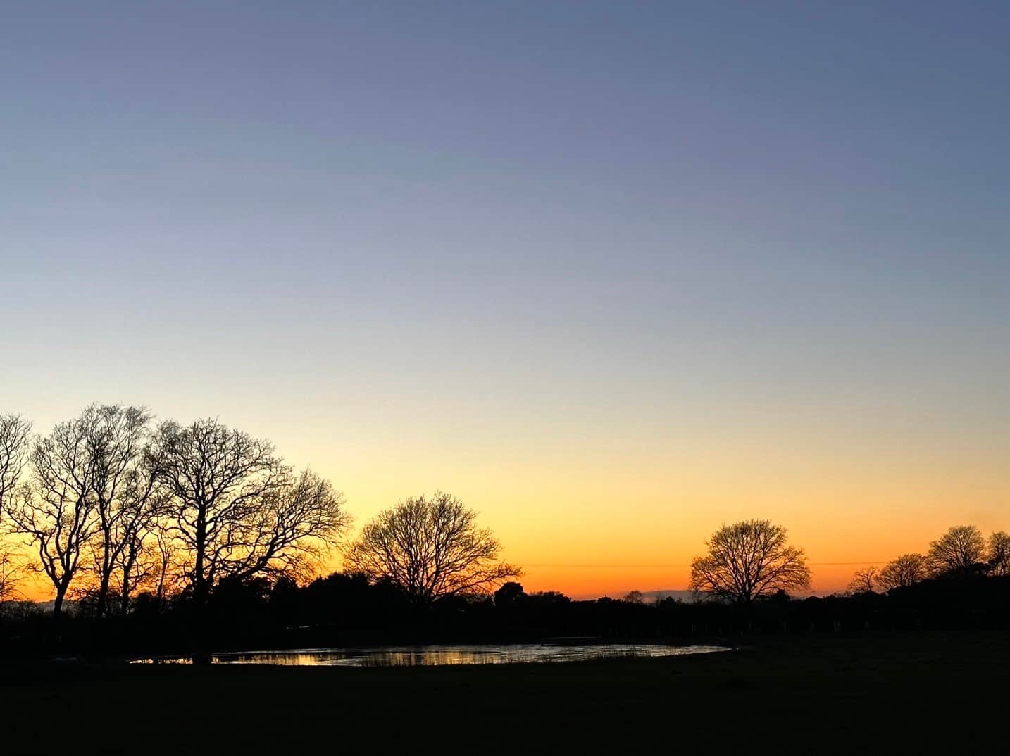Luxury New Forest Cottages - Accommodation | Heathfield Estate
