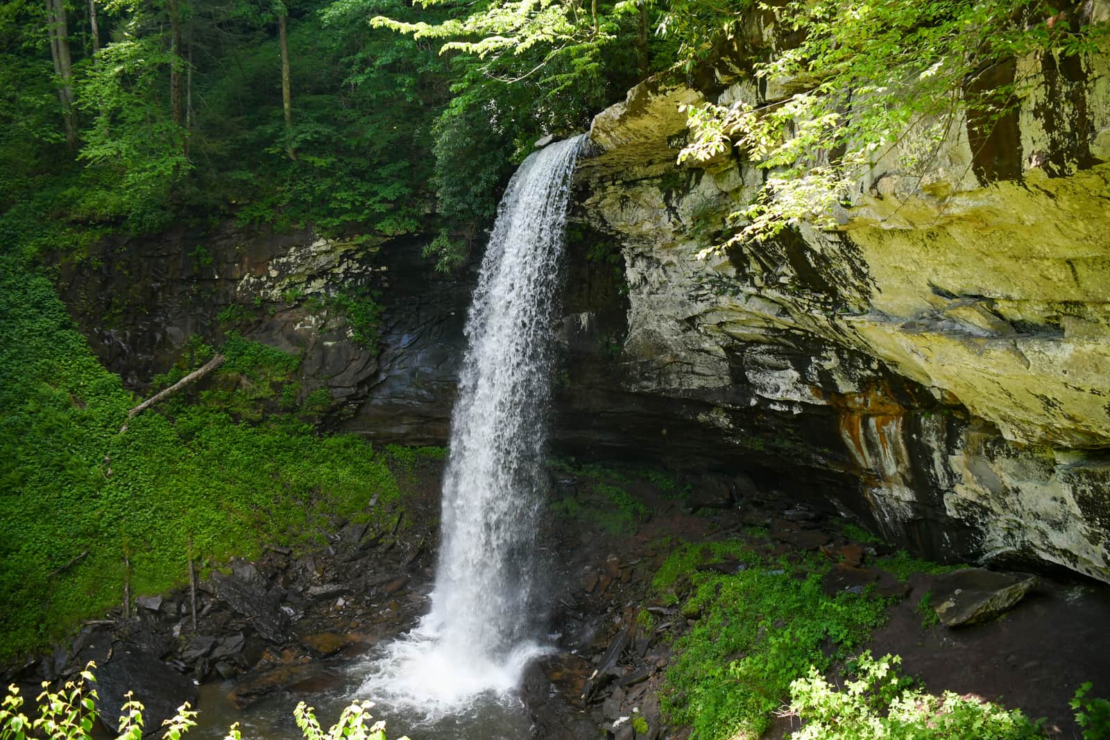 Old Clark Inn - "A MON Forest Inn"