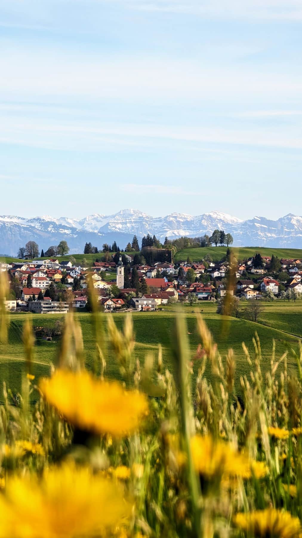 Unser Scheidegg
