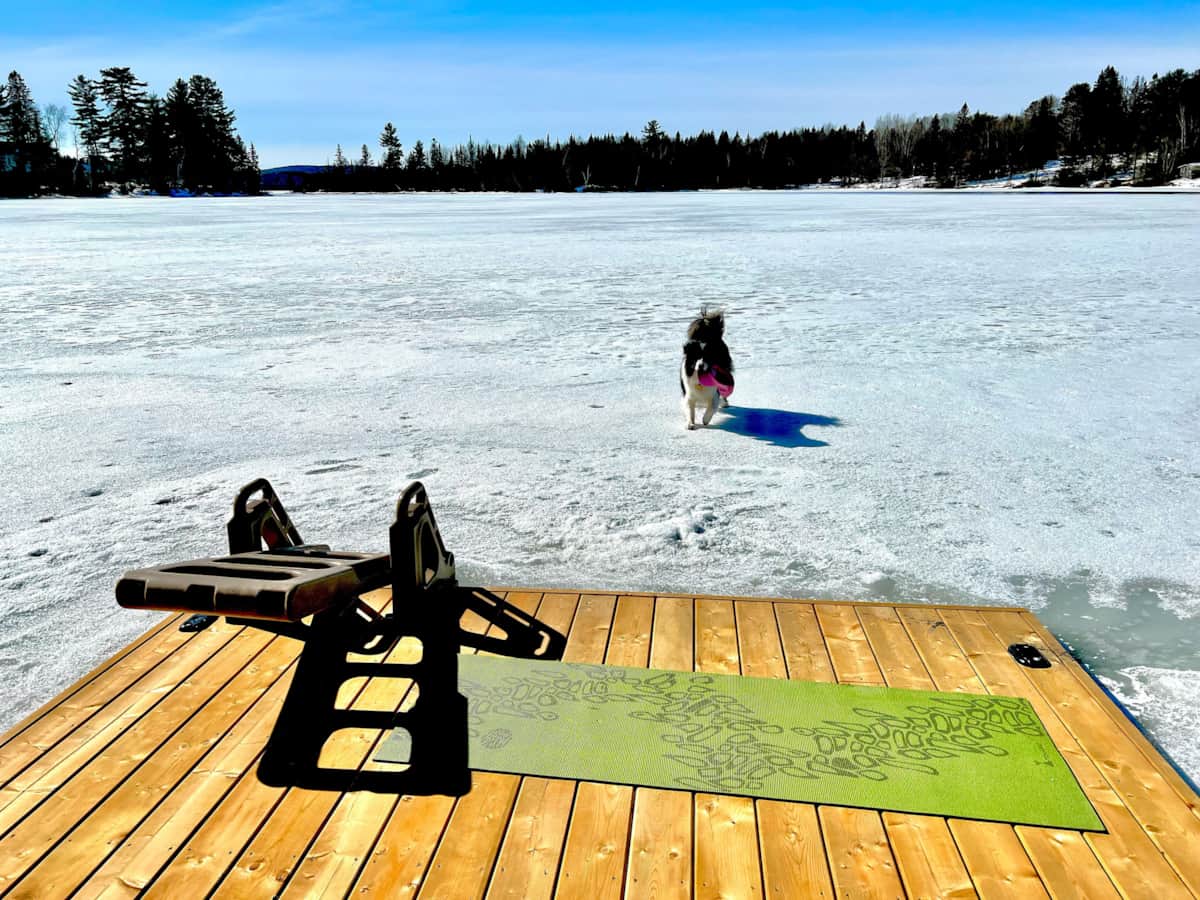 Home [www.scarlettpoint.ca]