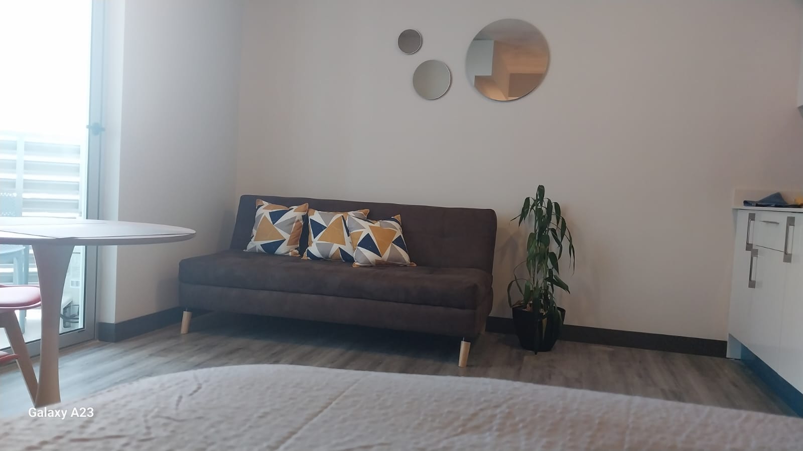 Secrt Sabana apartamento Studio2914