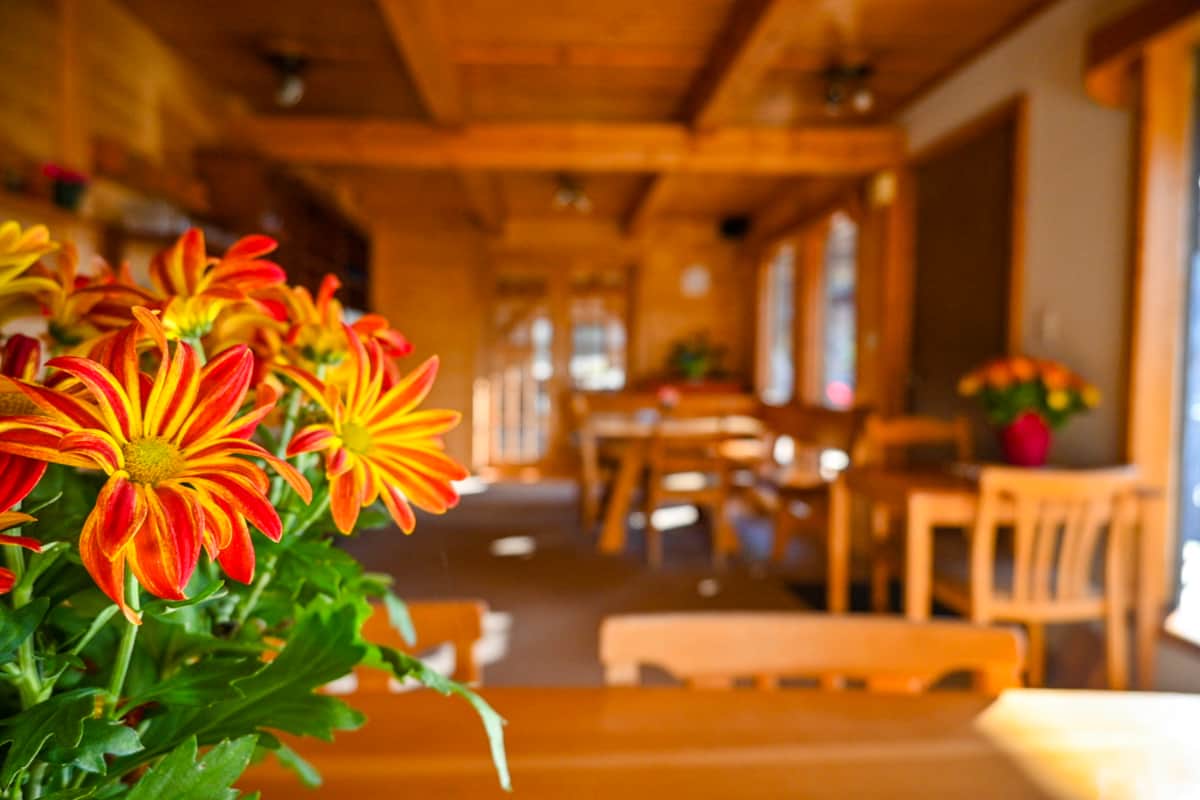 Parson Lodge and Cabins