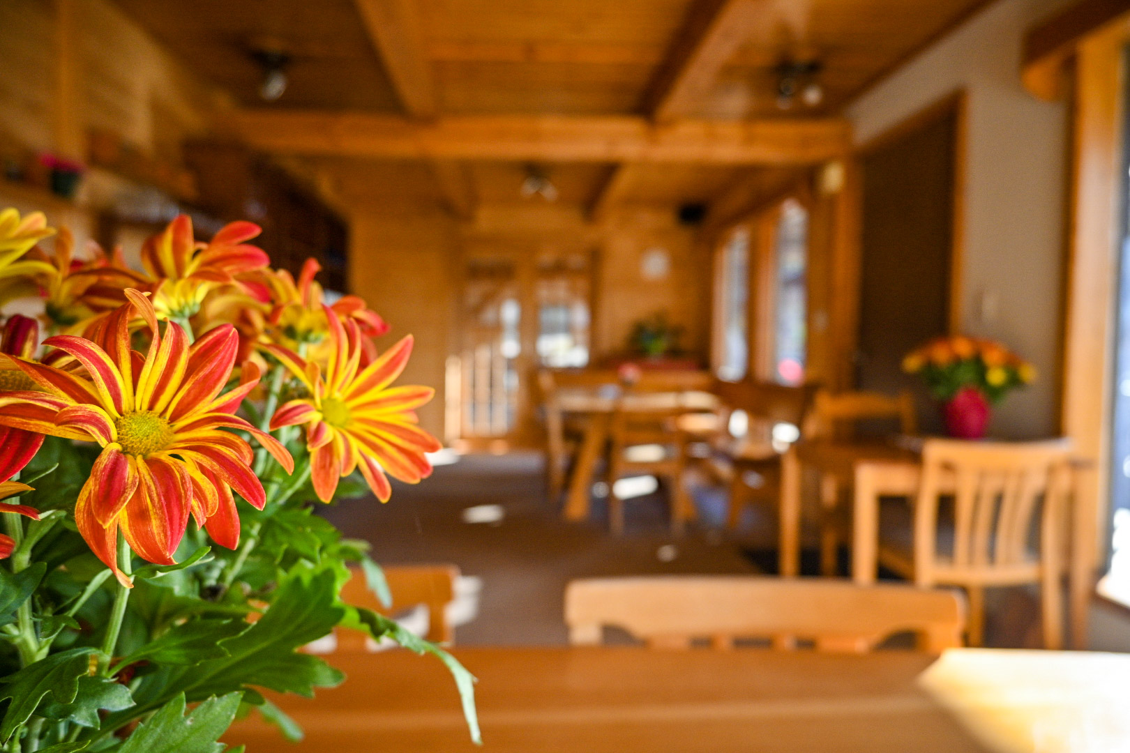 Parson Lodge and Cabins