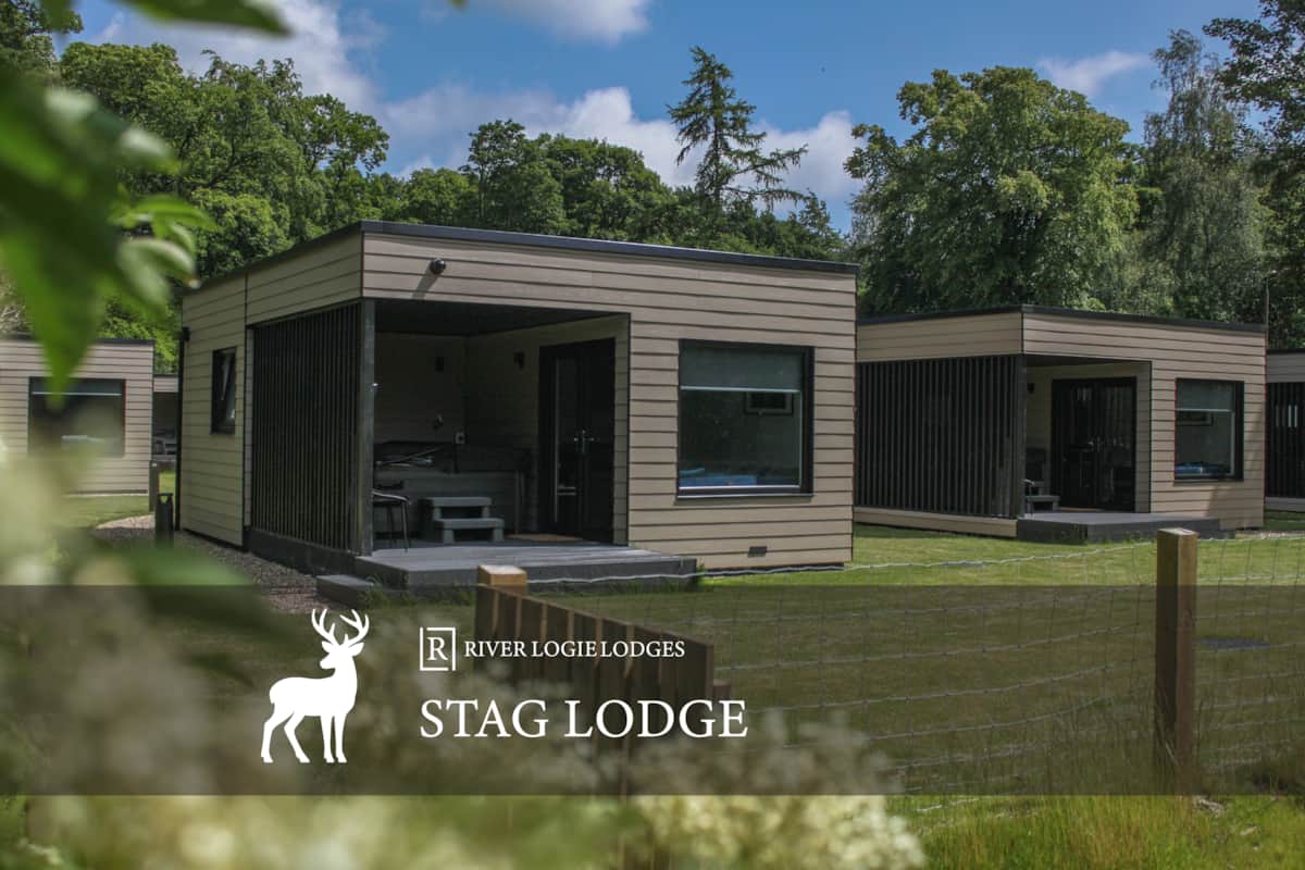 The Stag Lodge - Deluxe 1 Bedroom - Cabin in Bathgate