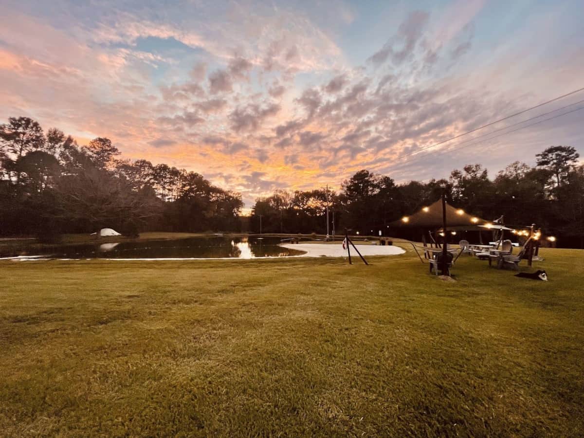 Home [www.fireflyln.com]