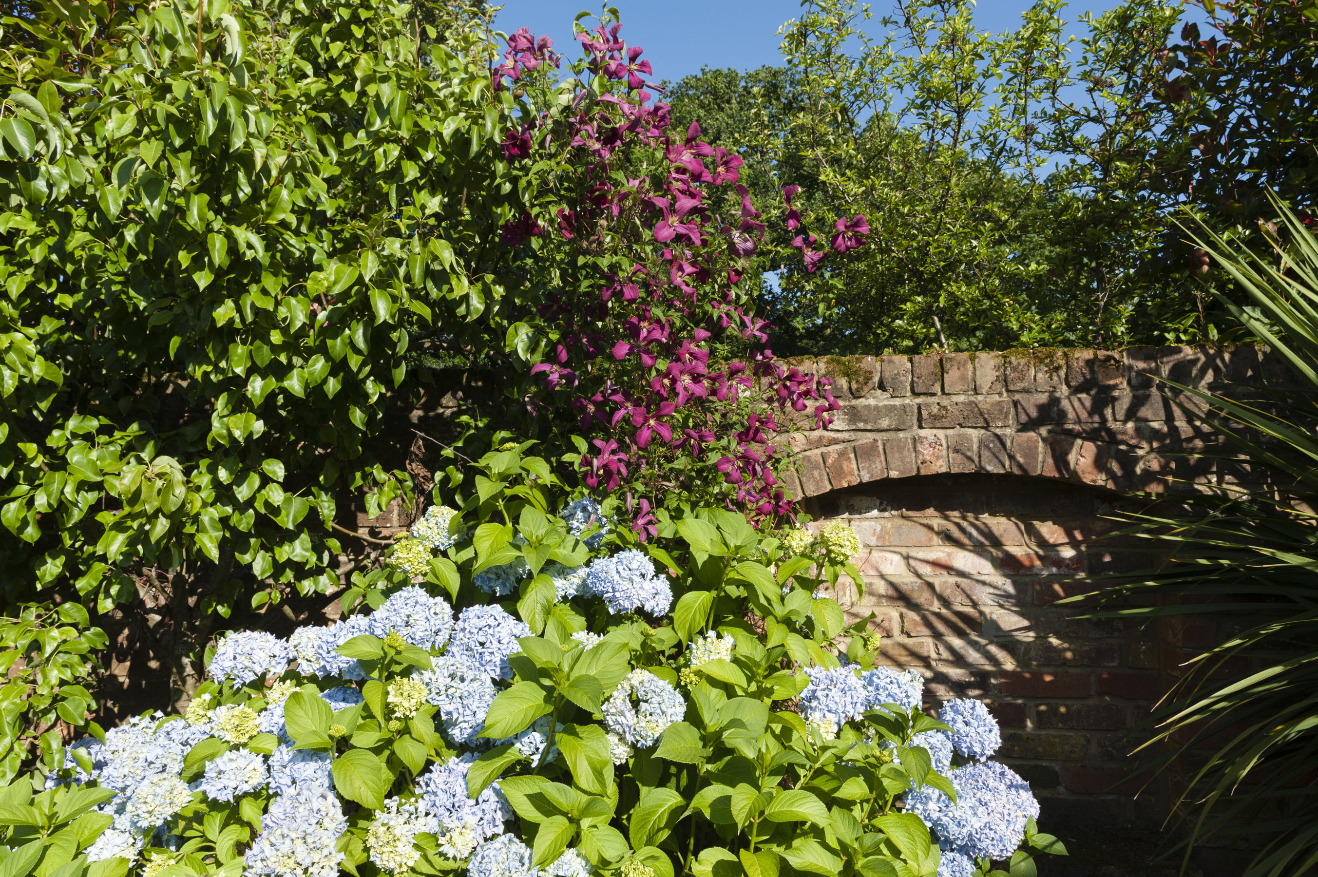 Heathfield Estate - Luxury Holiday Houses in the New Forest