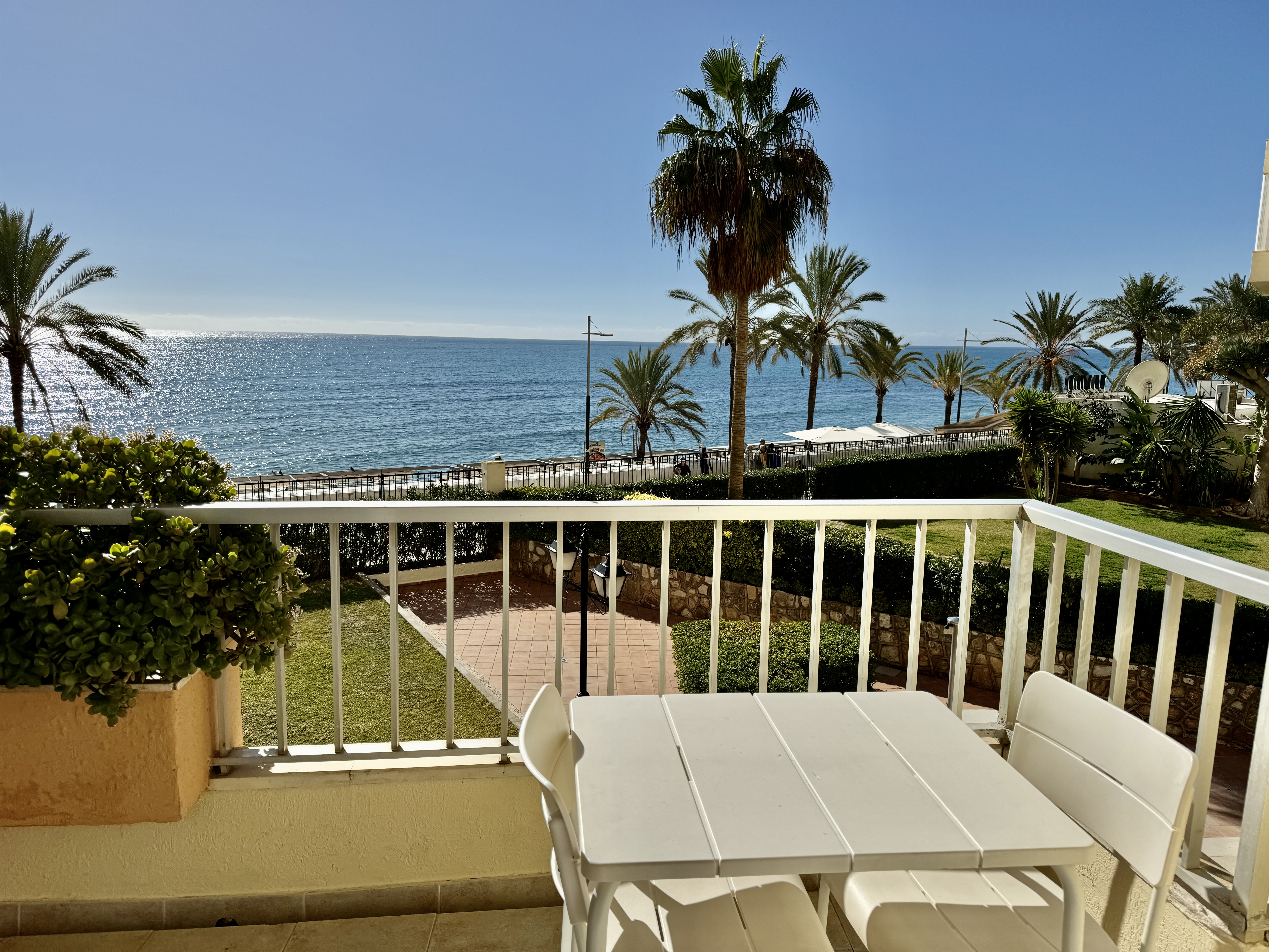 0. Diana 101 - Marbella
