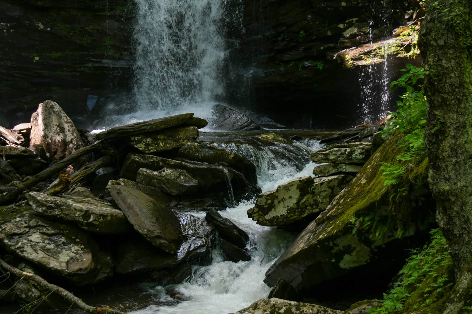 Old Clark Inn - "A MON Forest Inn"
