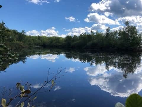 Frye Island Maine Rentals - Home