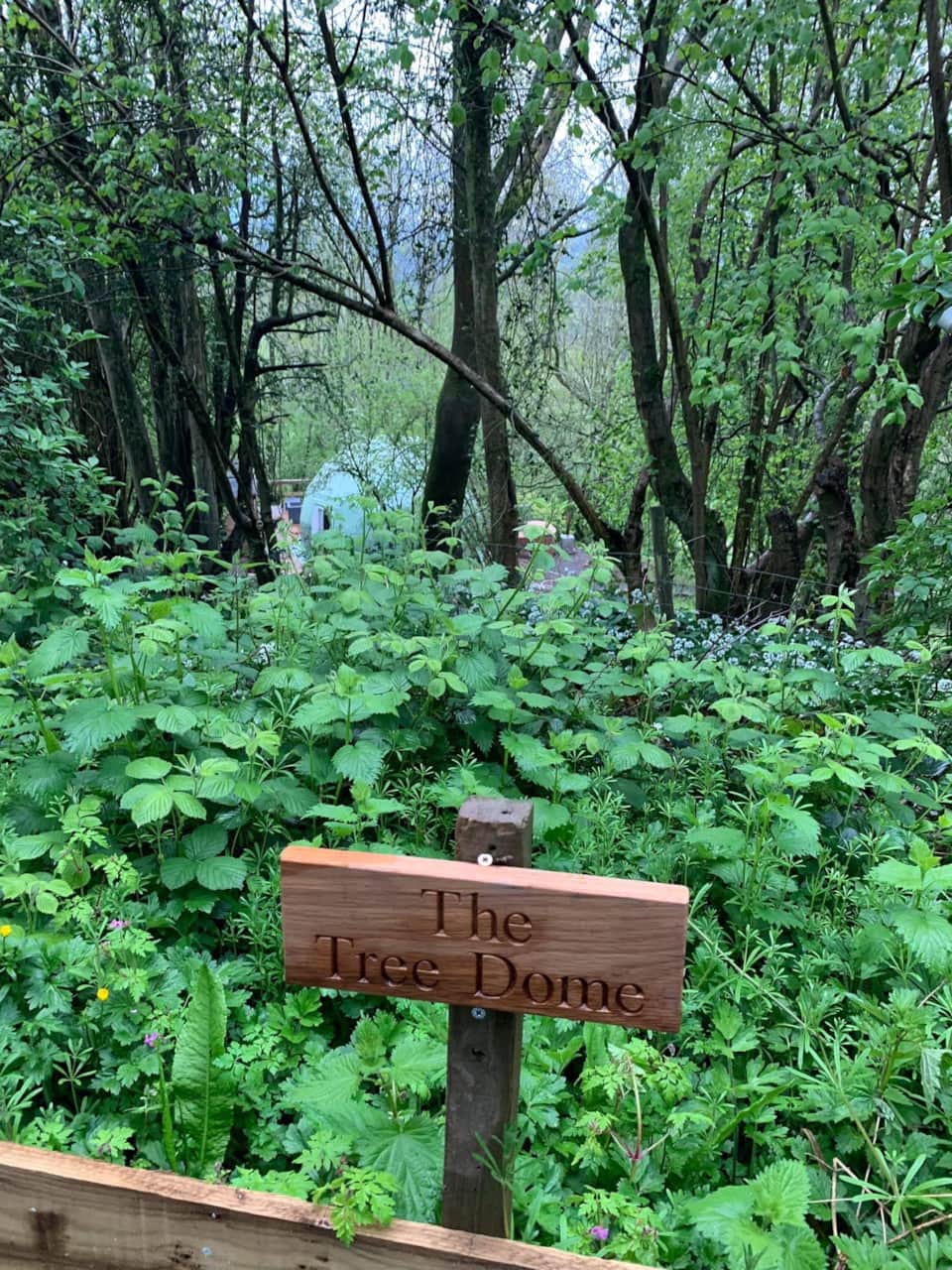 The Tree Dome - Holiday House in Ludlow