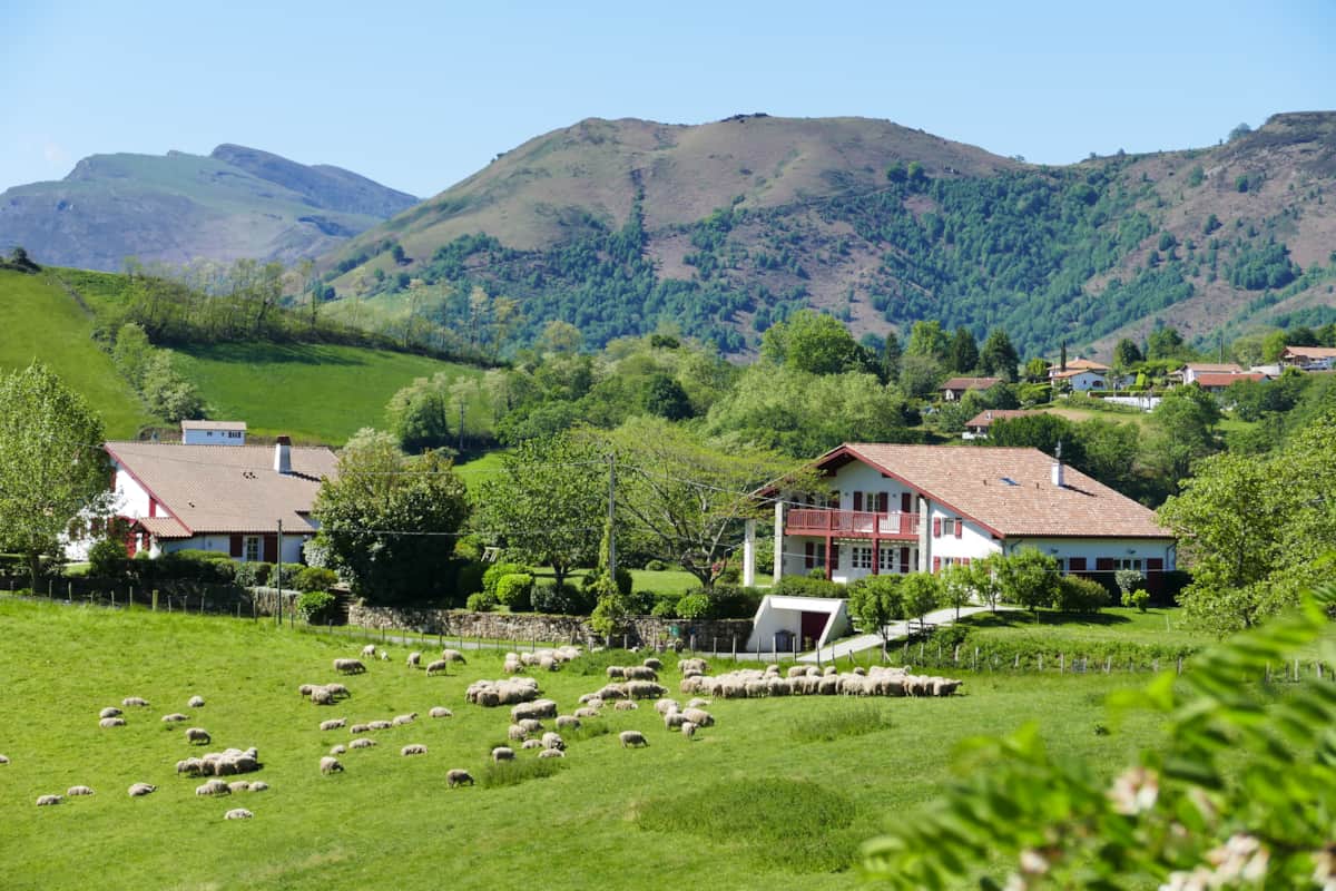 BaskoParadis | Vacances au Pays Basque