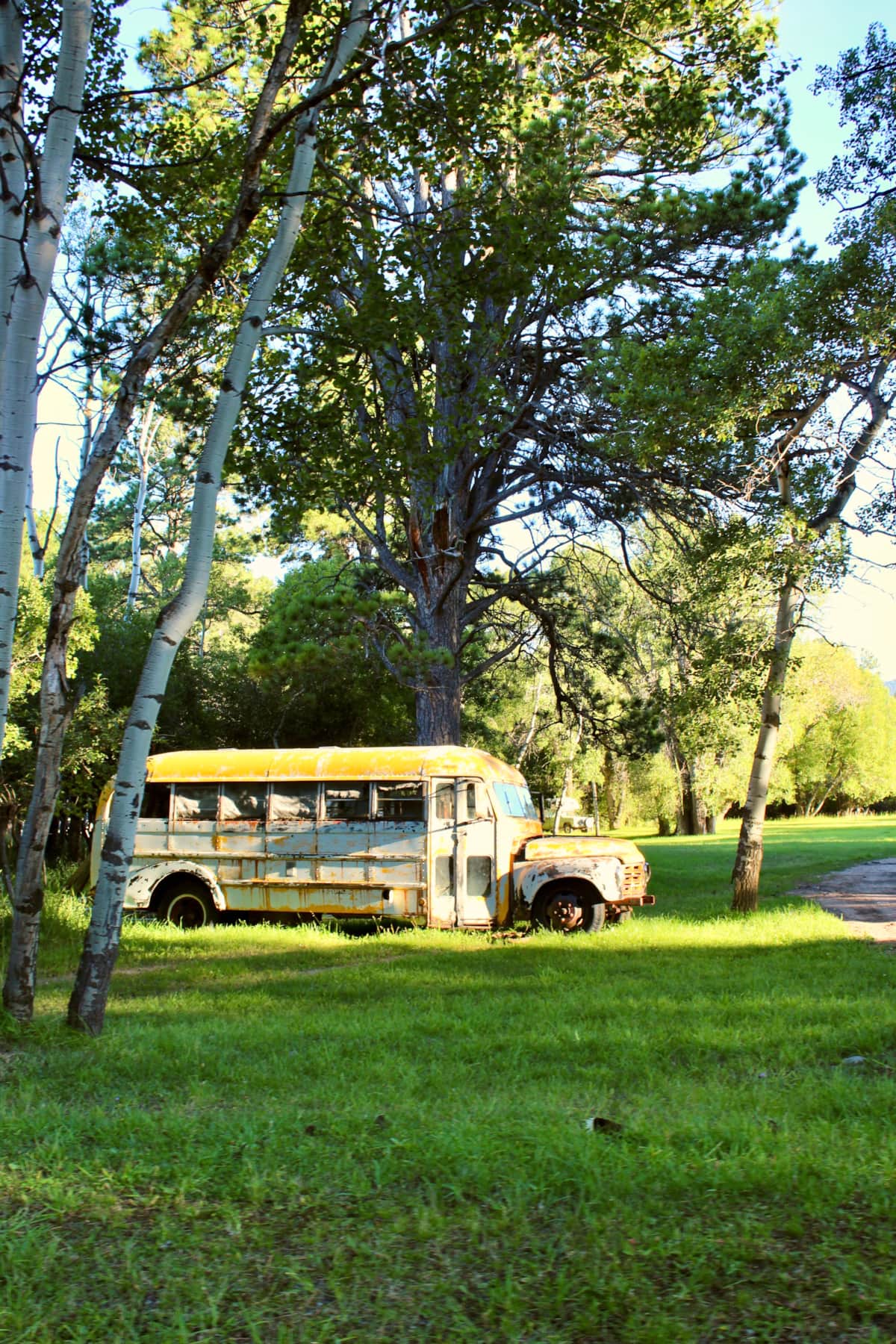 Rustic Bert Bus - Vacation Home in Story