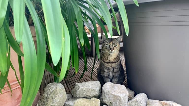 Villa Herold Caputh, Ferienwohnung