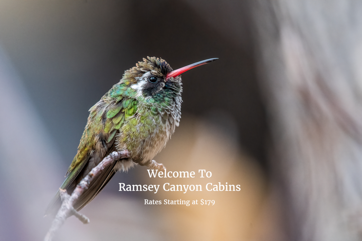 Ramsey Canyon Cabins - Vacation Cabin Rentals - Birding - Hiking ...