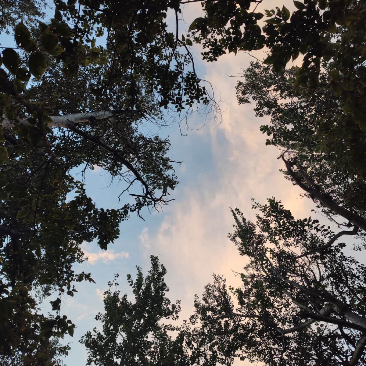 Home [stay-elsewhere.com]