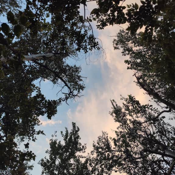 Home [stay-elsewhere.com]