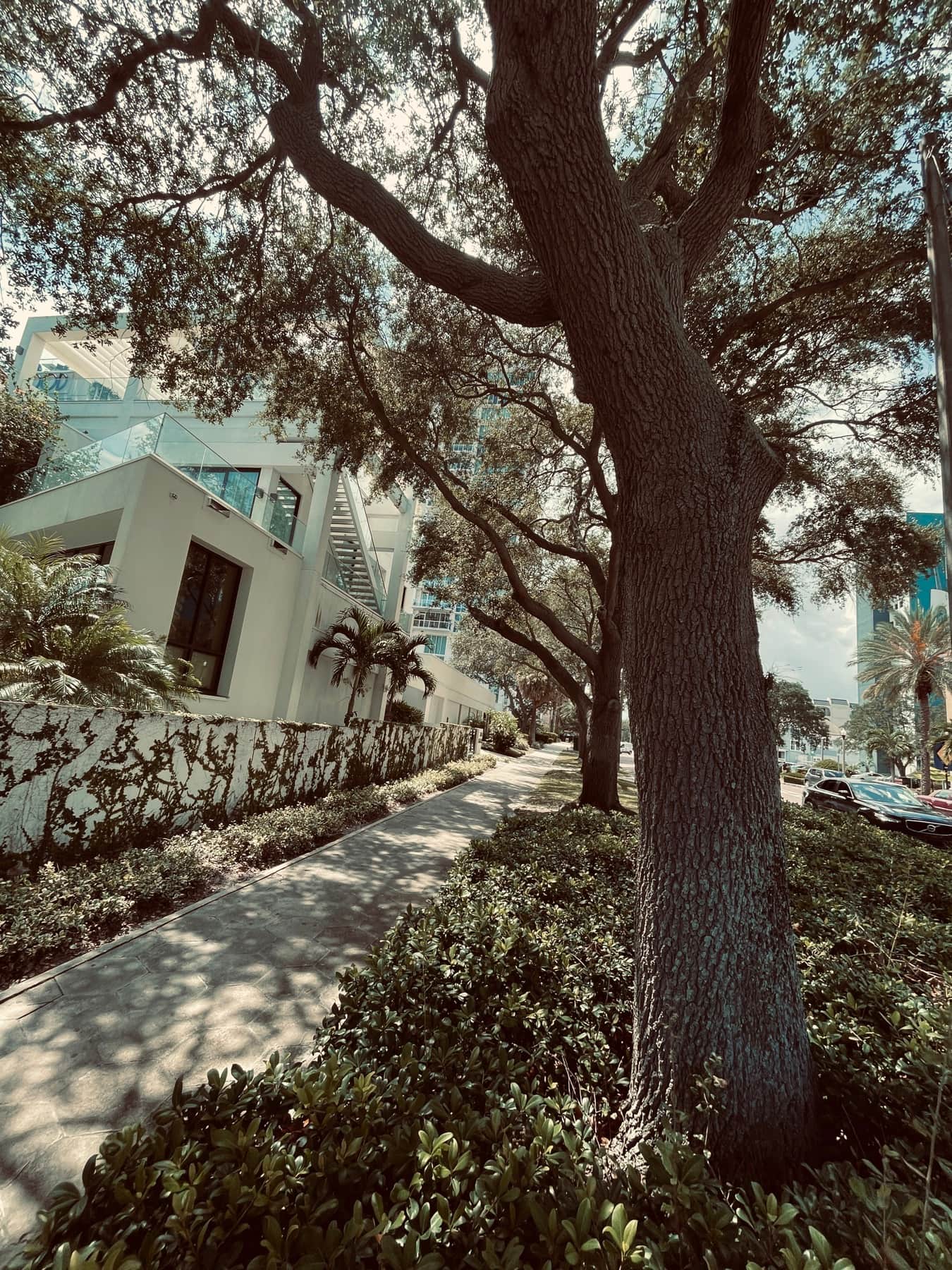 Home [seasalt-vacations.com]